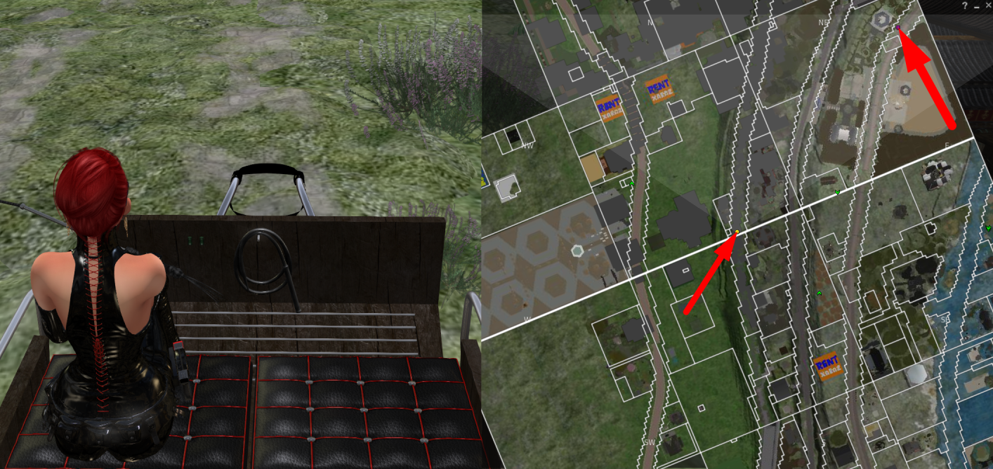Mainland Lesson | Tall Tails